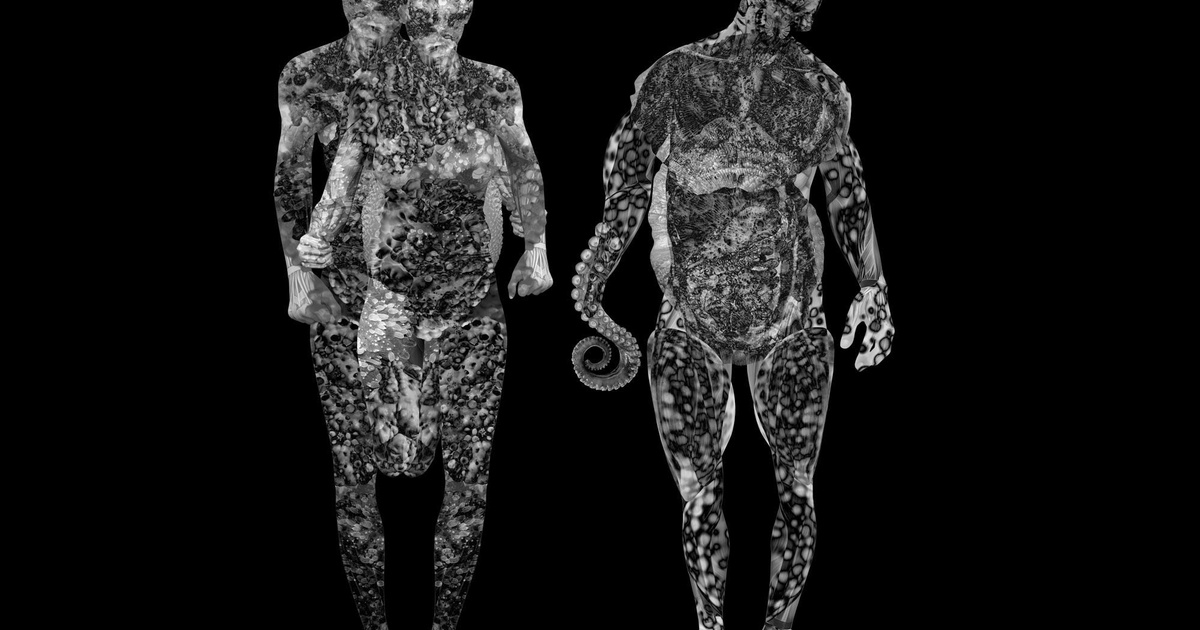 Zeina Barakeh - Exhibitions | Catharine Clark Gallery