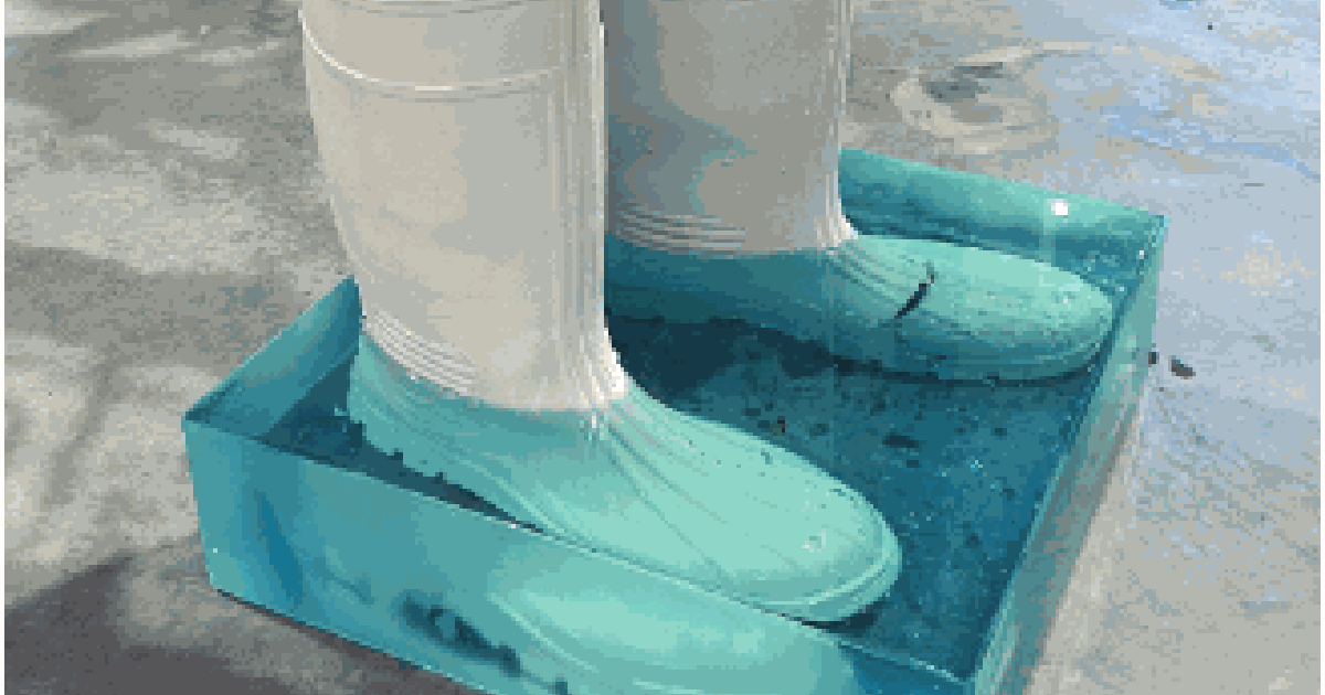 Inside the Museum: Japanese Ceramics and American Gothic | Catharine ...